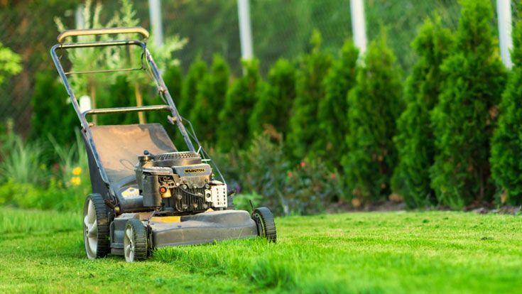 Comment choisir entre une tondeuse autotractée ou autoportée ? - Kiloutou