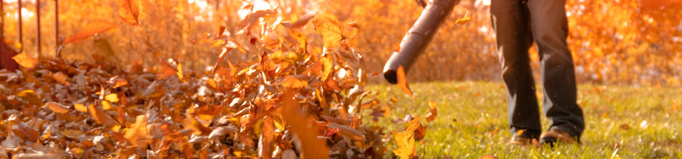 Location d'outils pour le jardin - Kiloutou